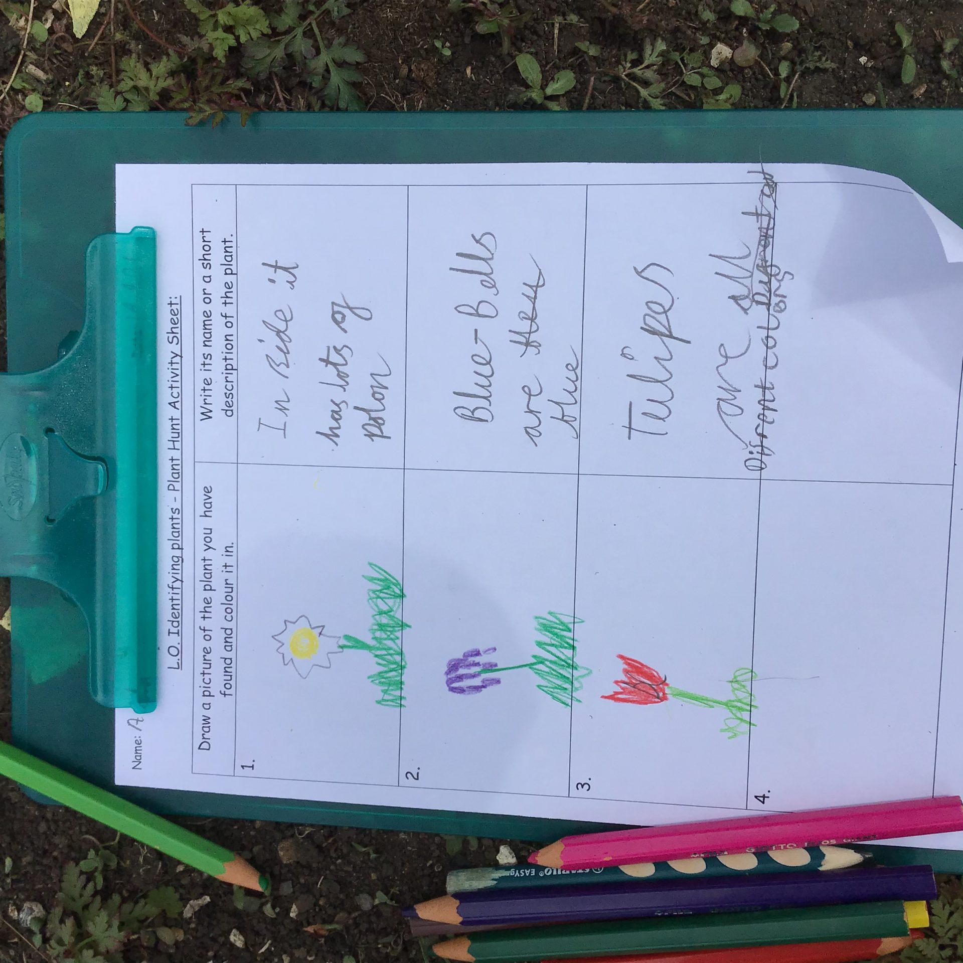 Welcome back year 2!