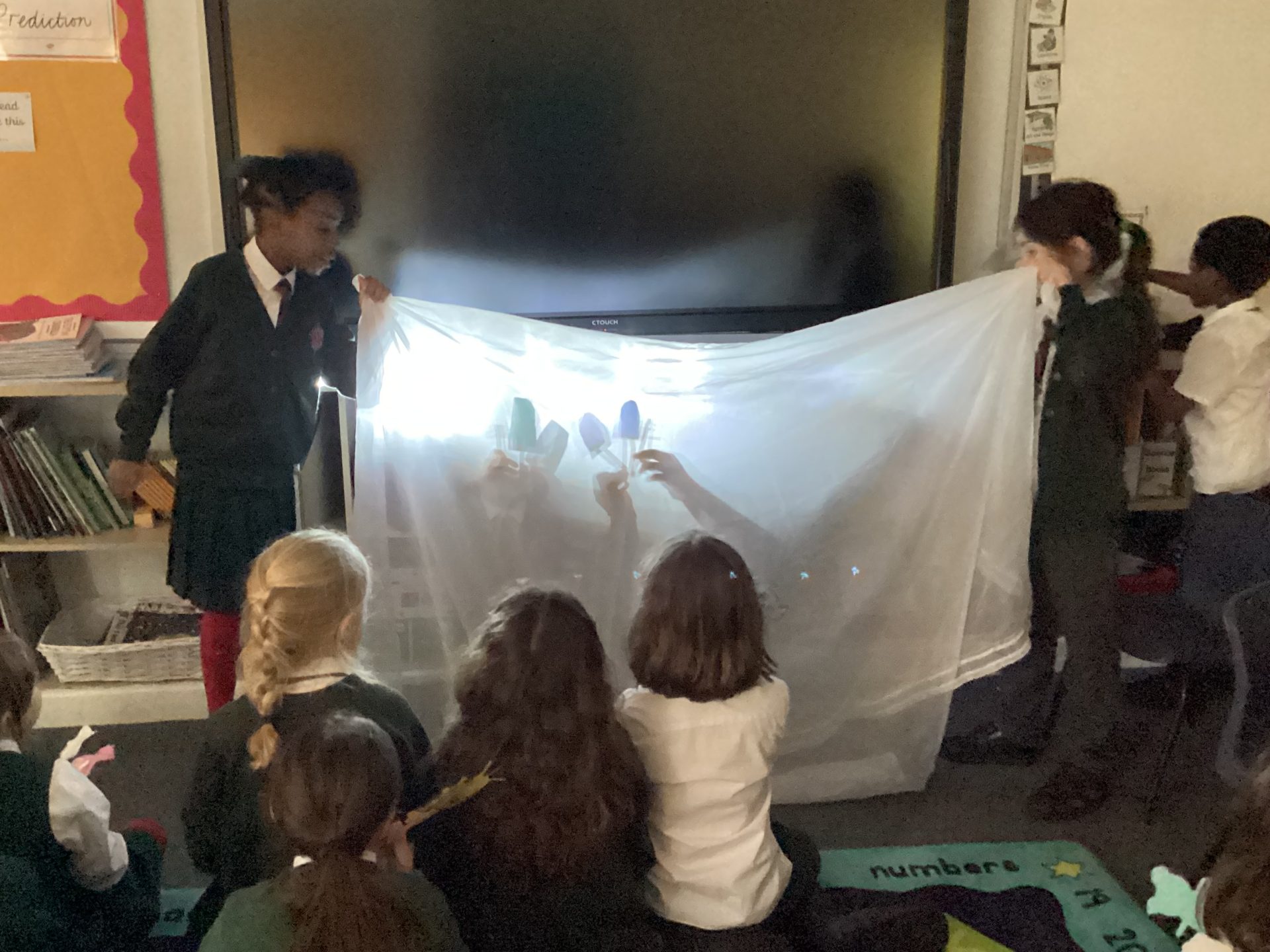 Shadow puppets – year 3 science
