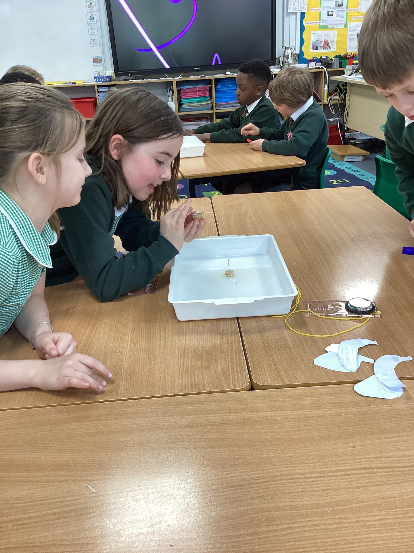 Magnificent Magnets!