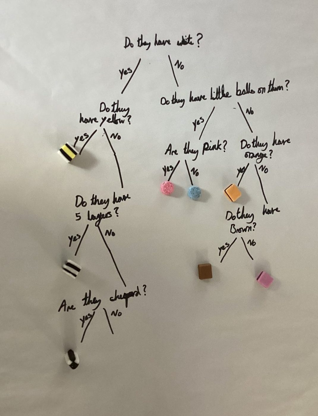 Beech and Hazel Classes – Sorting in Science