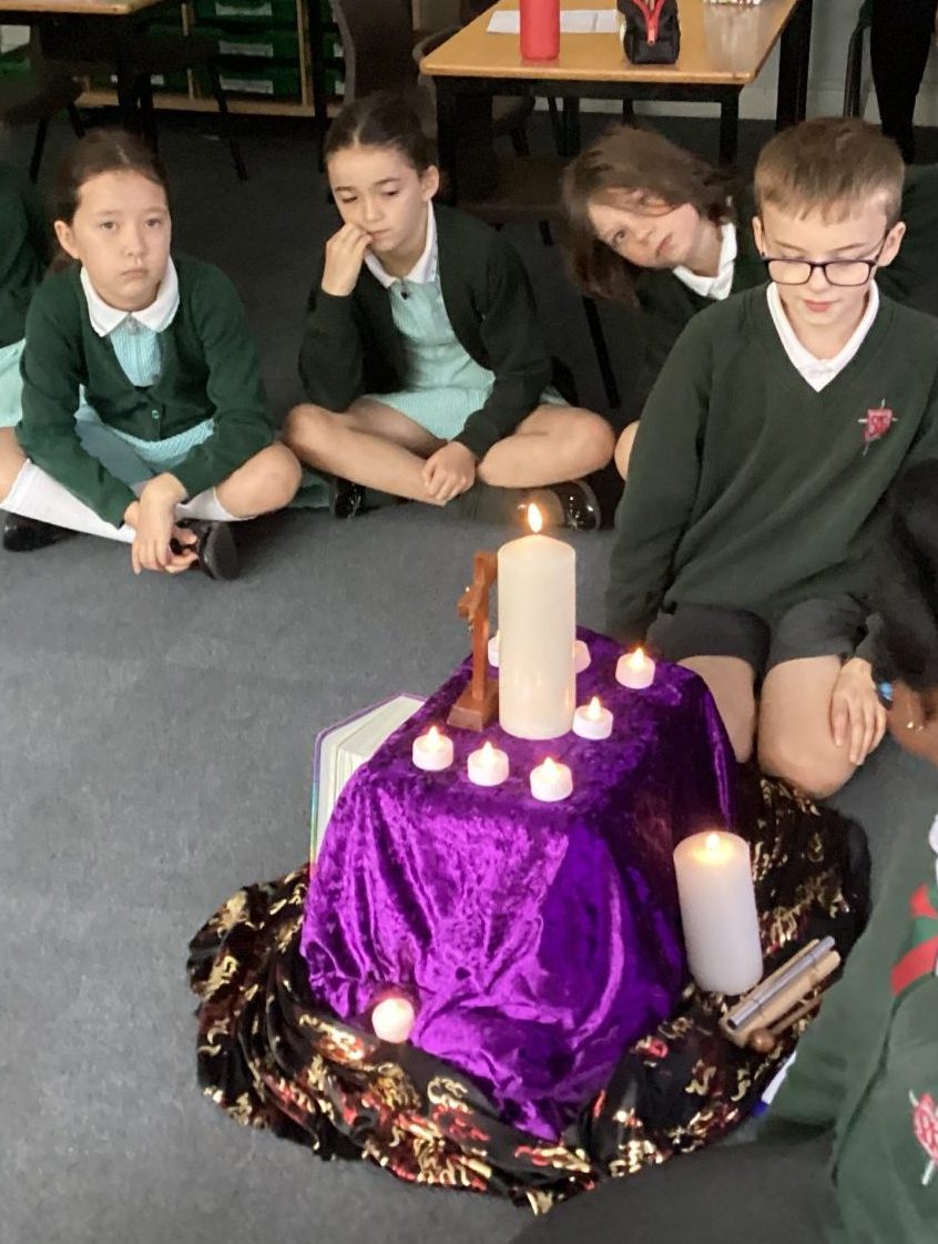 Beech and Hazel Classes – Sorting in Science