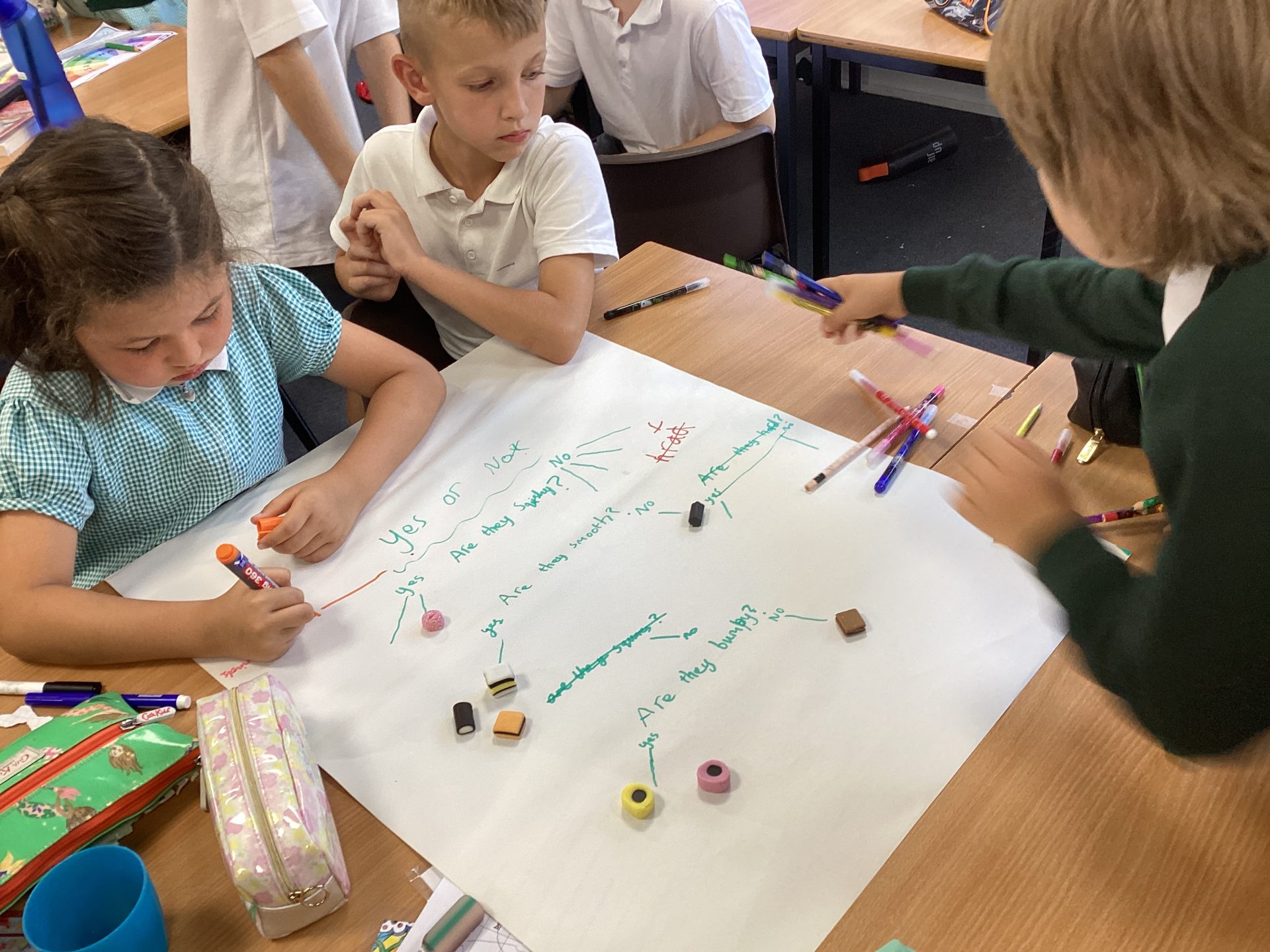 Beech and Hazel Classes – Sorting in Science